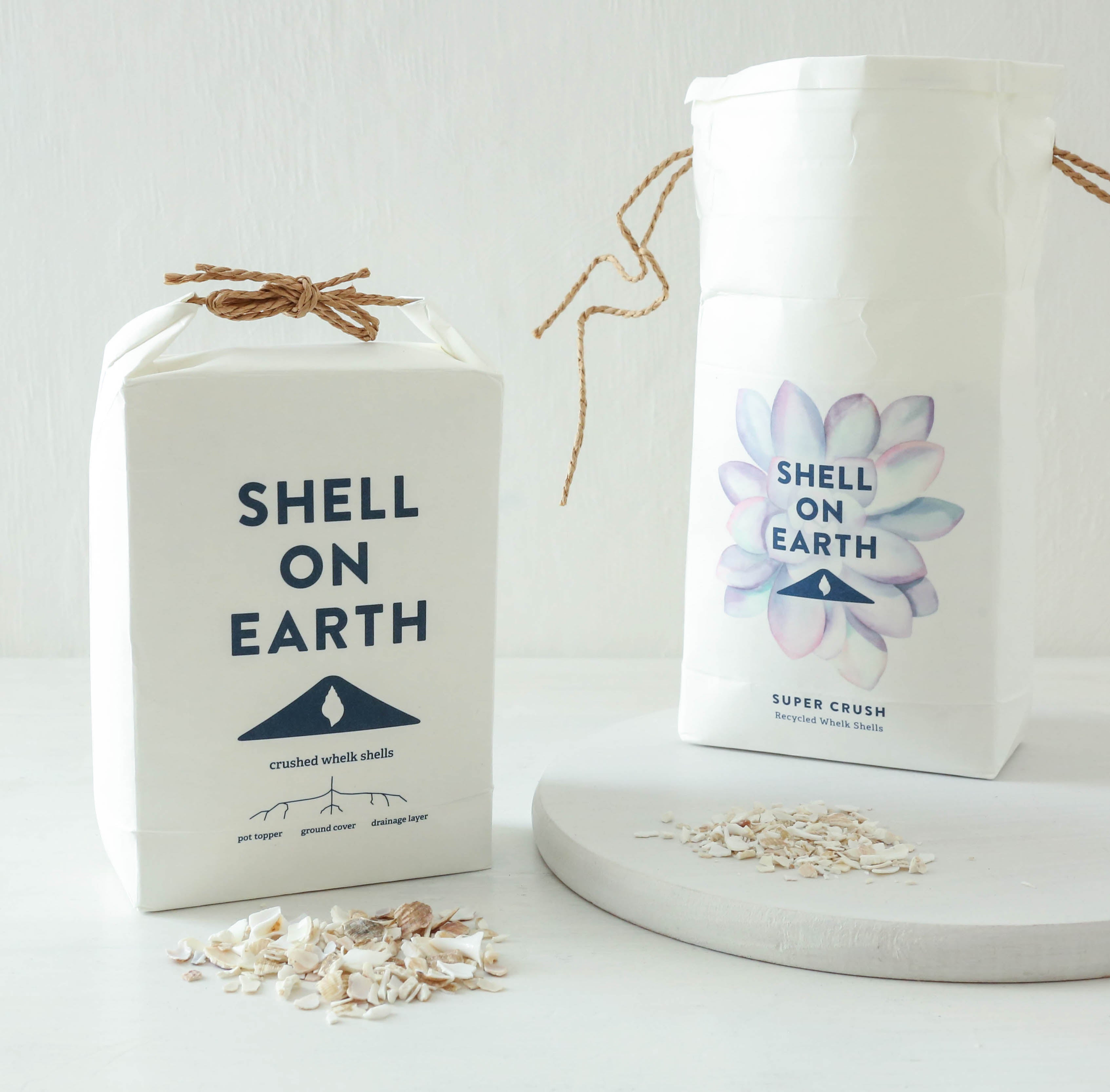 Shell on Earth - Crushed Whelk Shells – Berylune