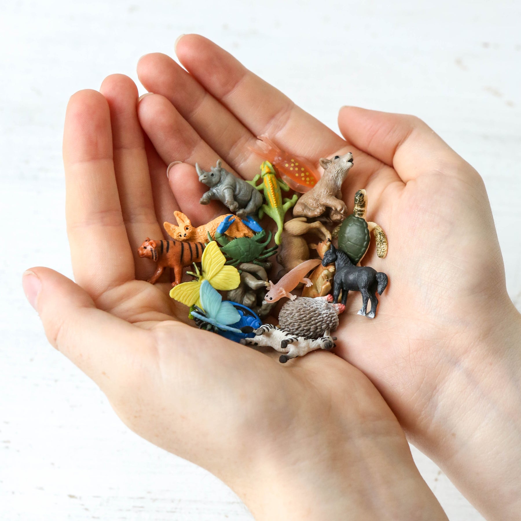 Assorted Small Rubber Animal – Berylune