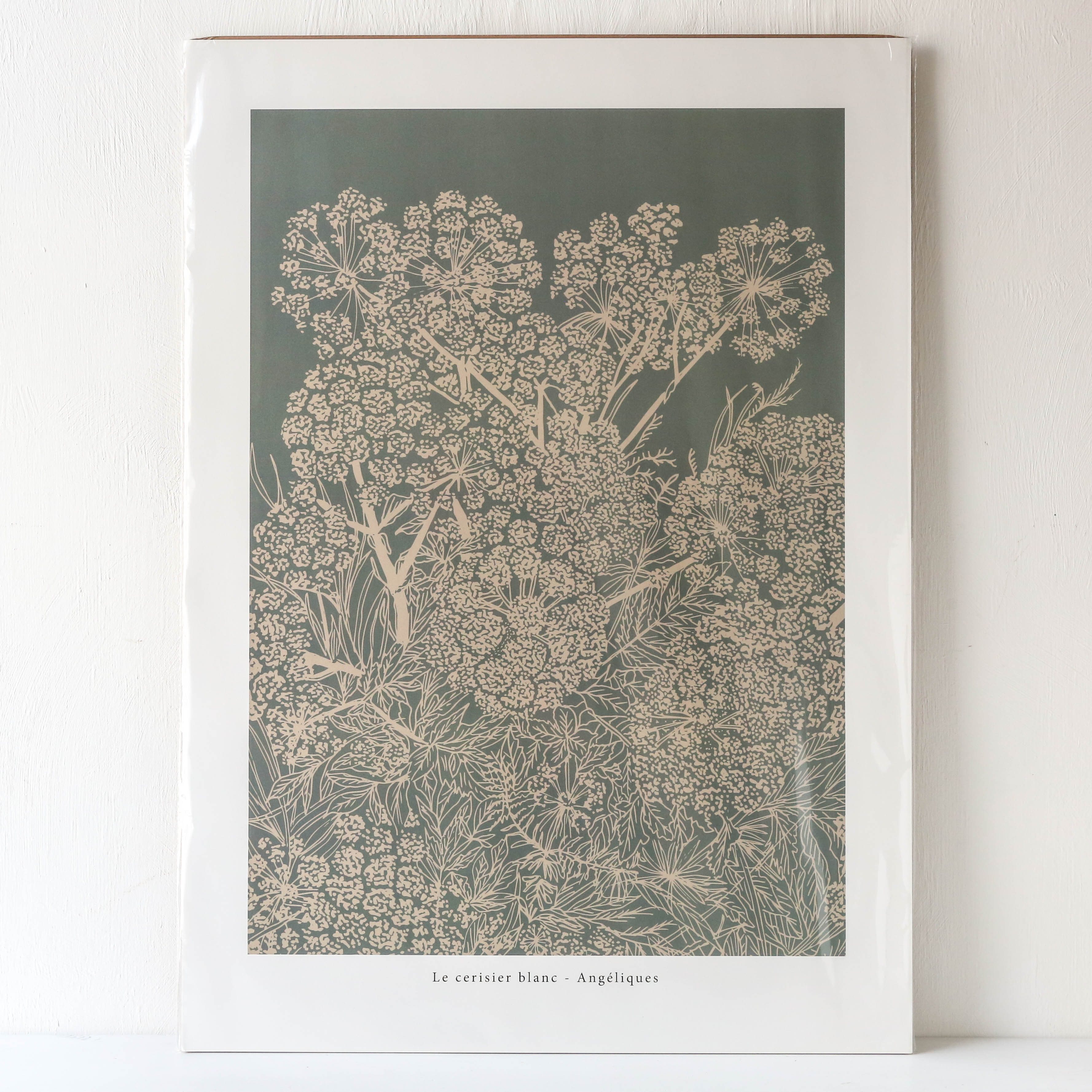 'Angéliques' Print - 50 x 70cm – Berylune