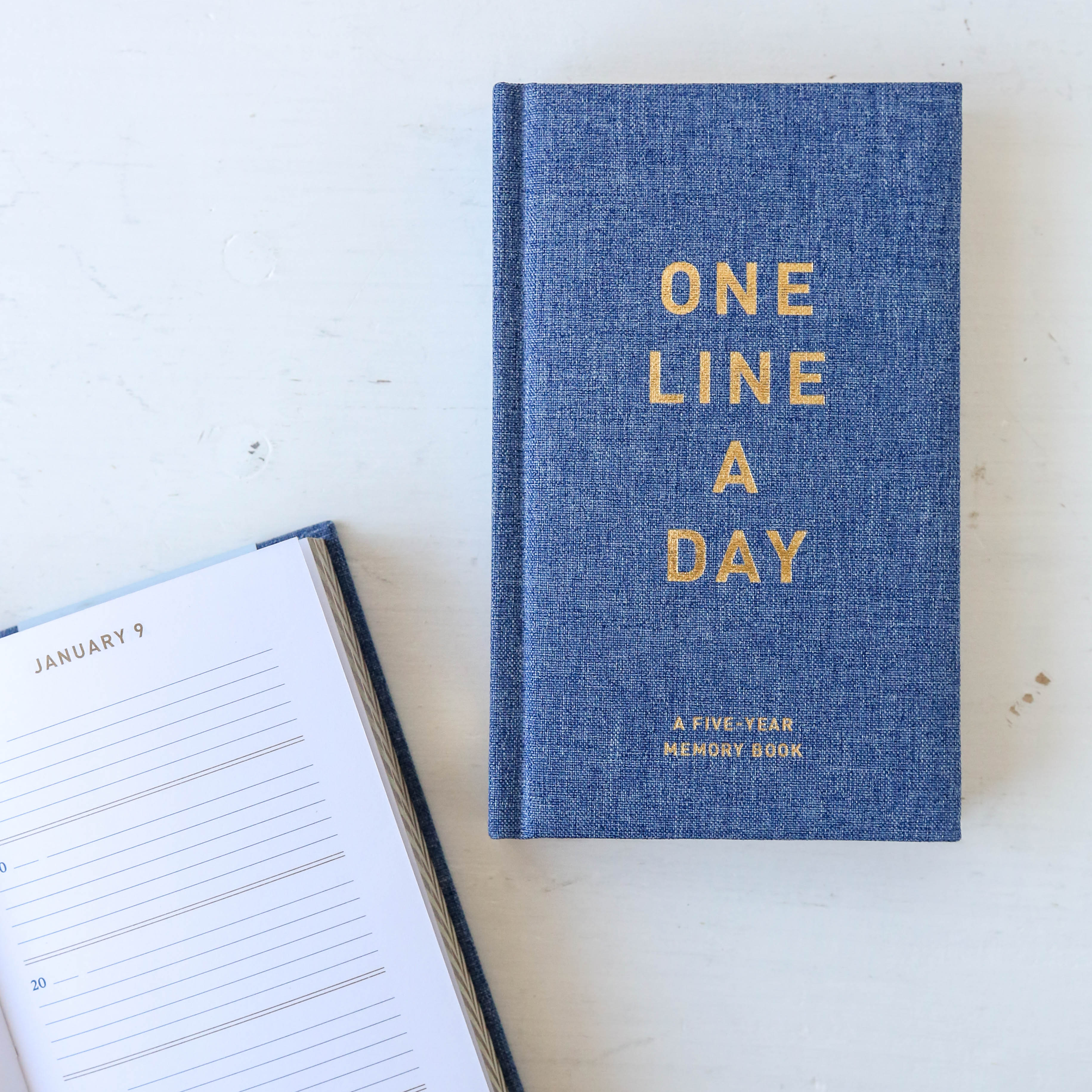 Denim One Line a Day – Berylune