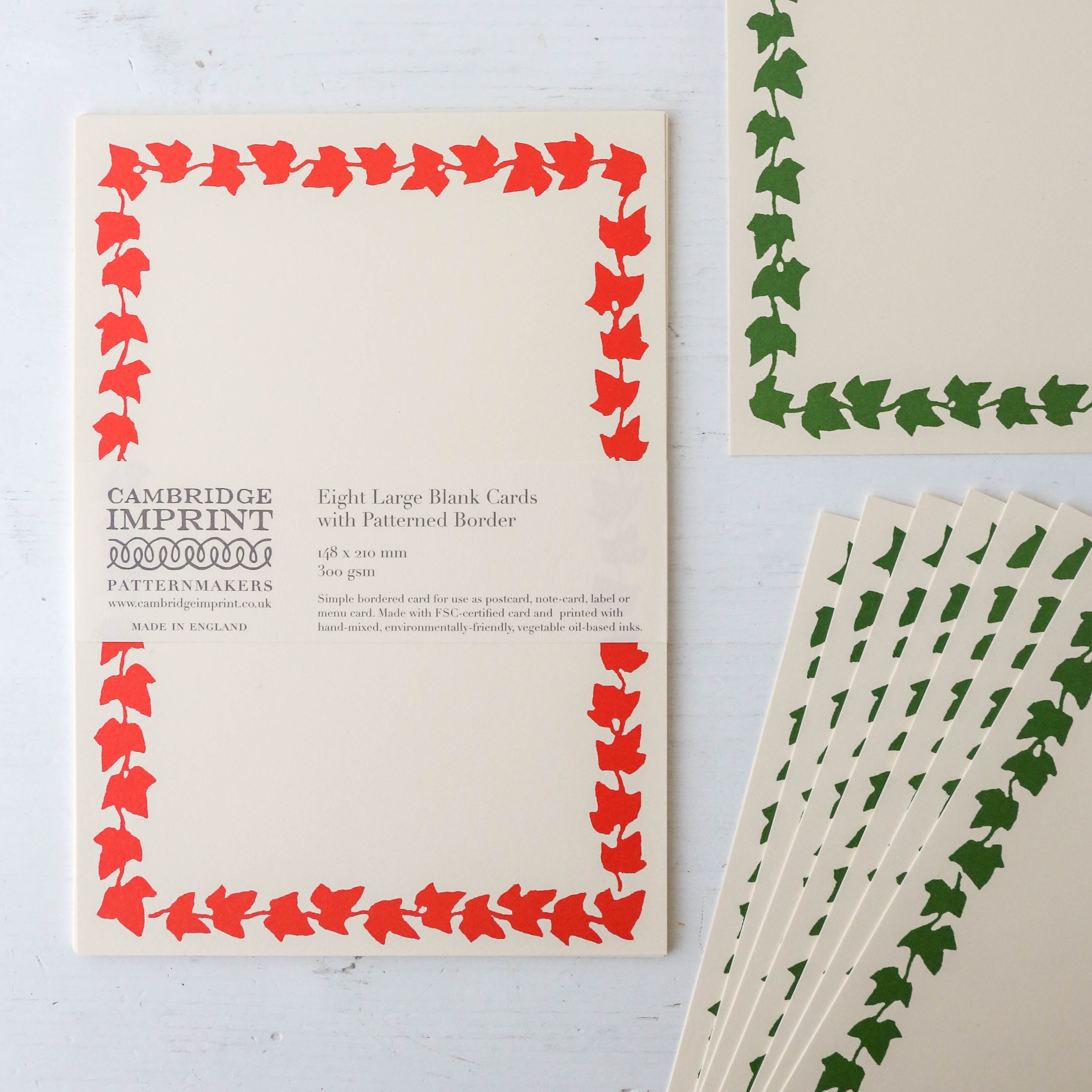 Pack of 8 Menu Cards with a Patterned Border – Berylune