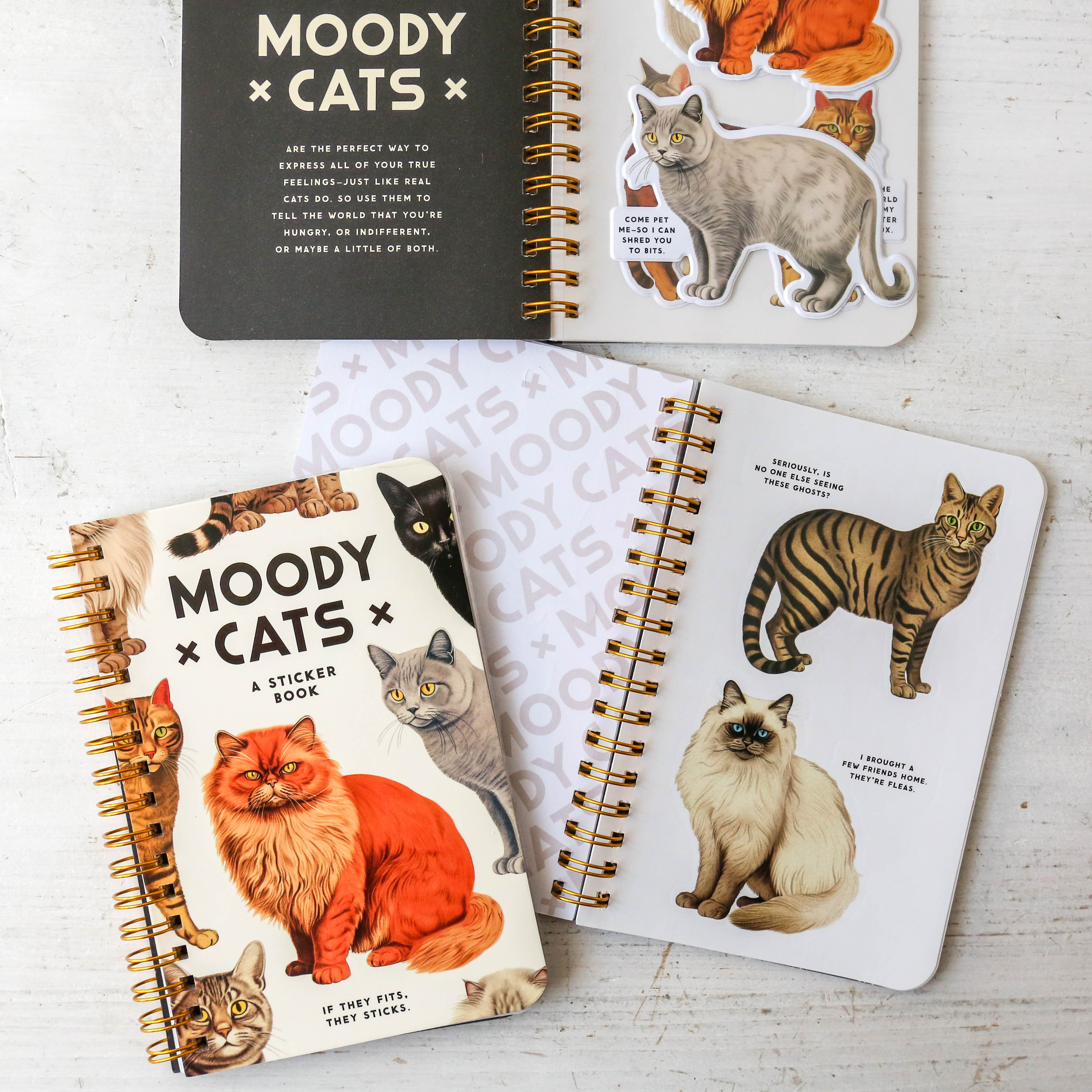 Moody Cats Sticker Book – Berylune