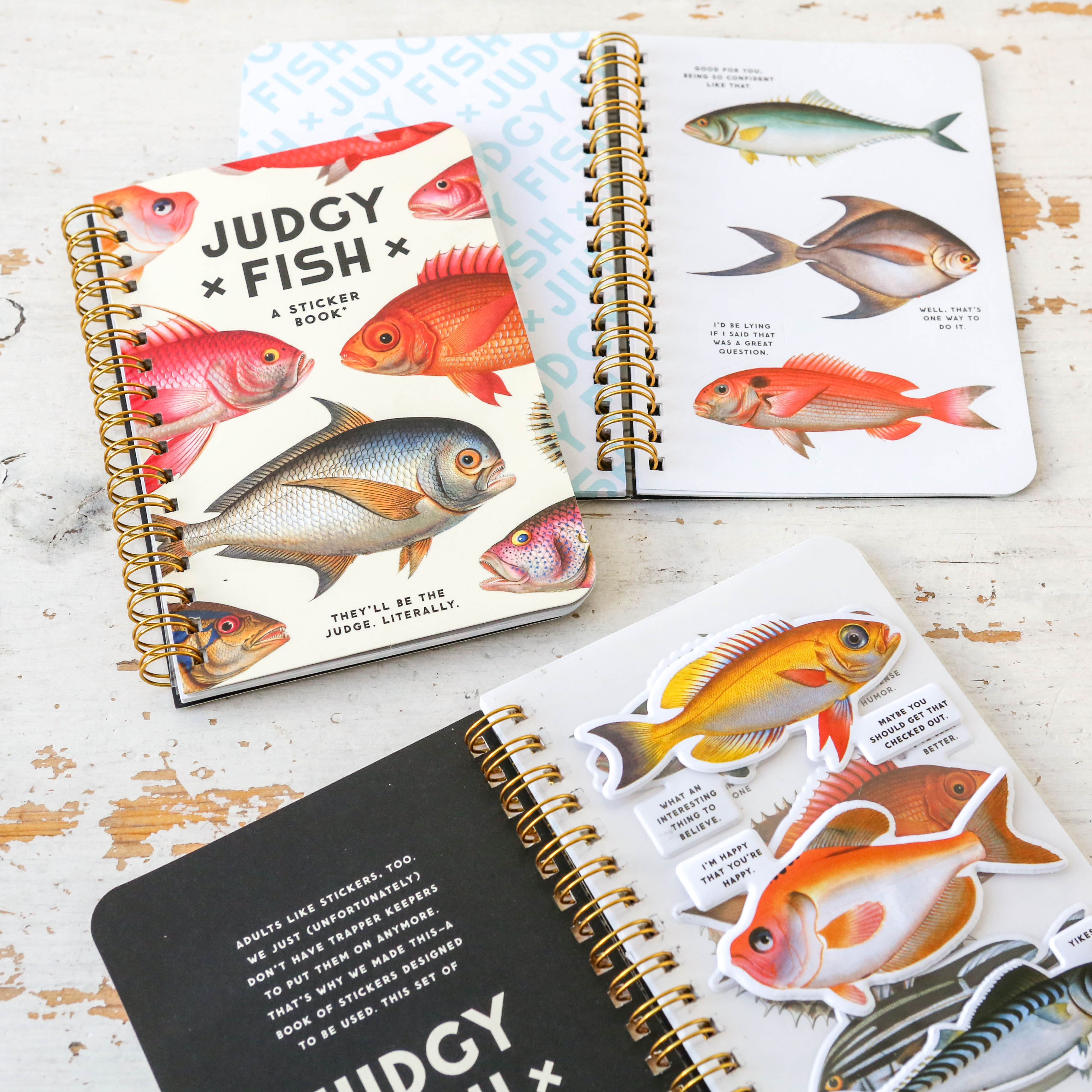 Judgy Fish Sticker Book – Berylune