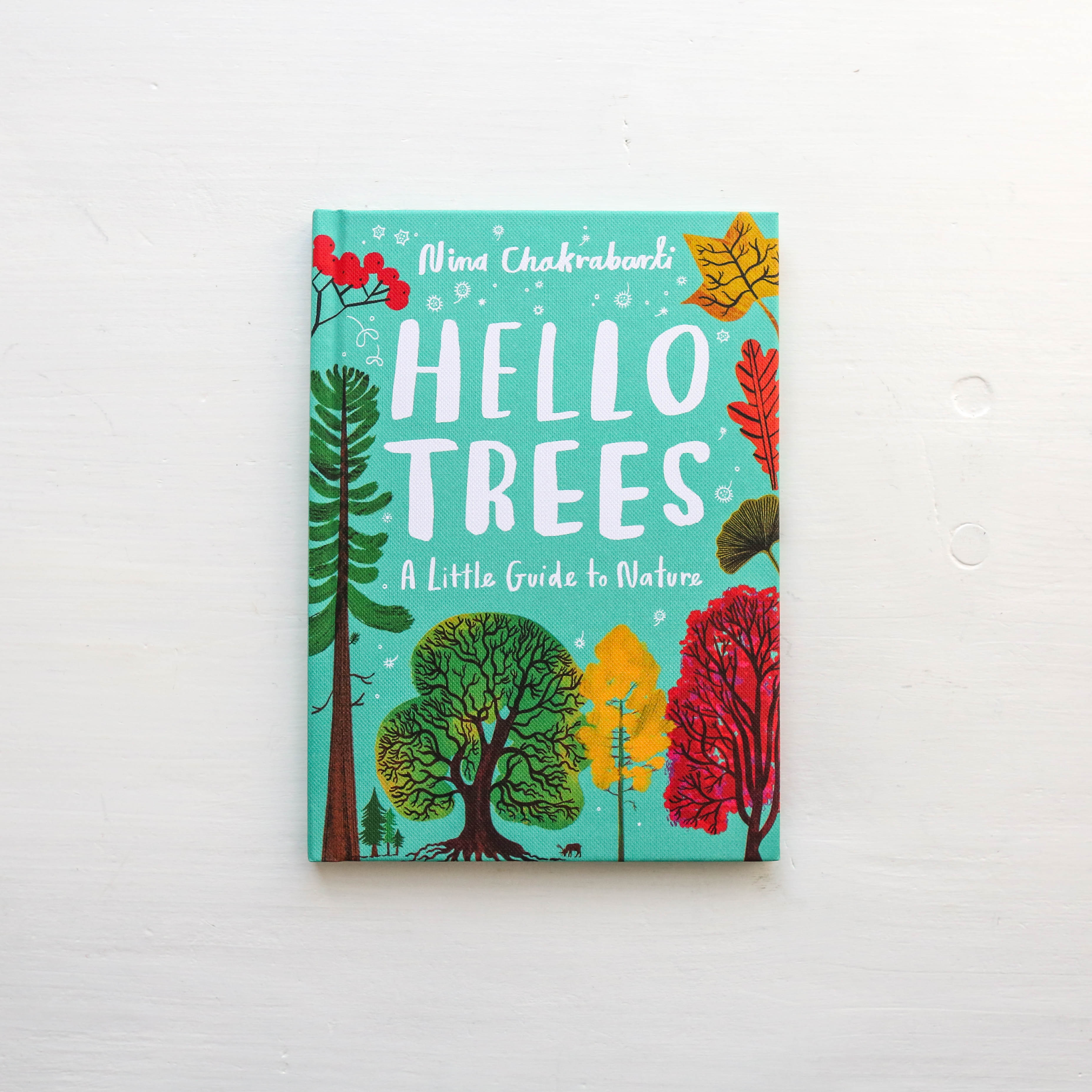 Little Guides to Nature: Hello Trees – Berylune