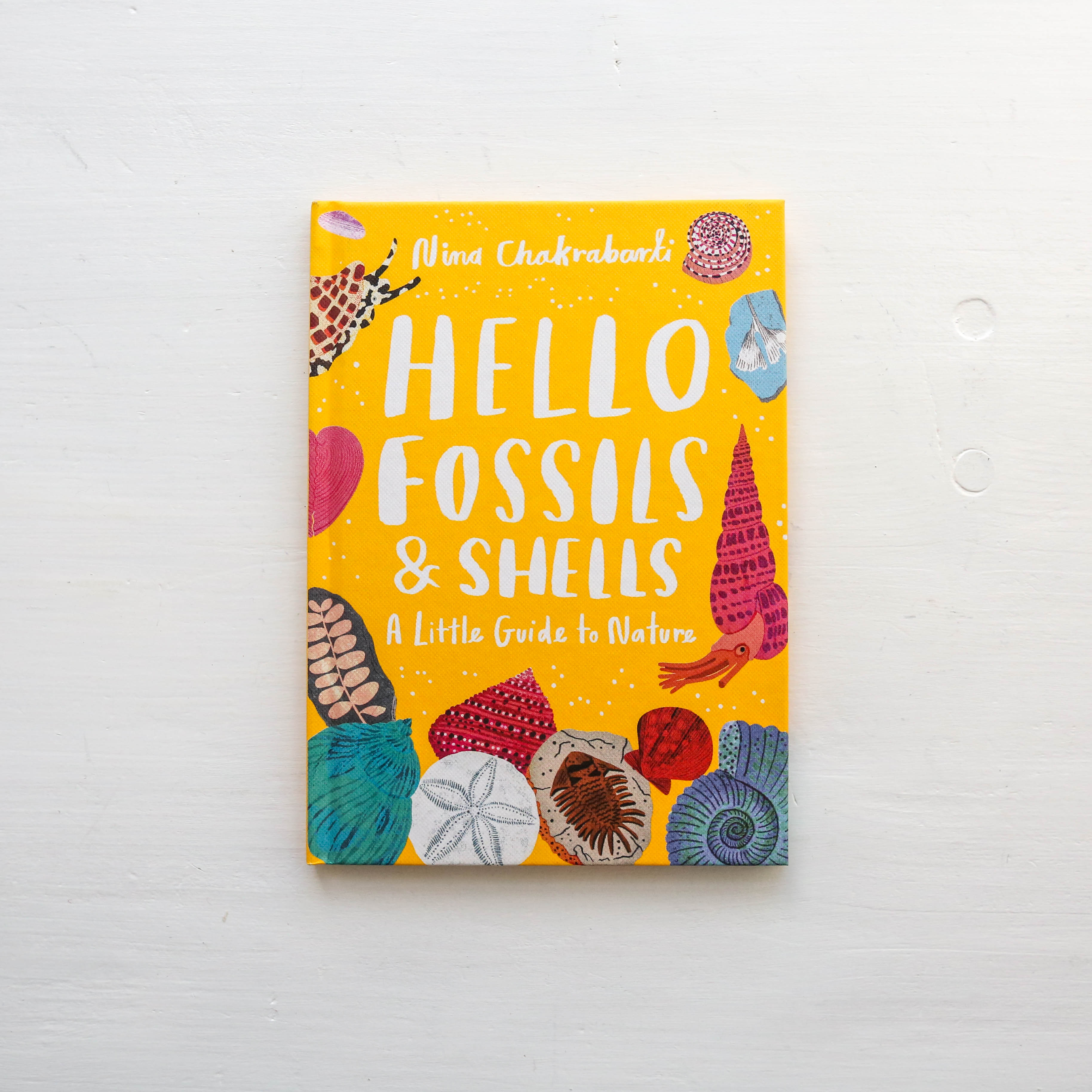 Little Guides to Nature: Hello Fossils and Shells – Berylune