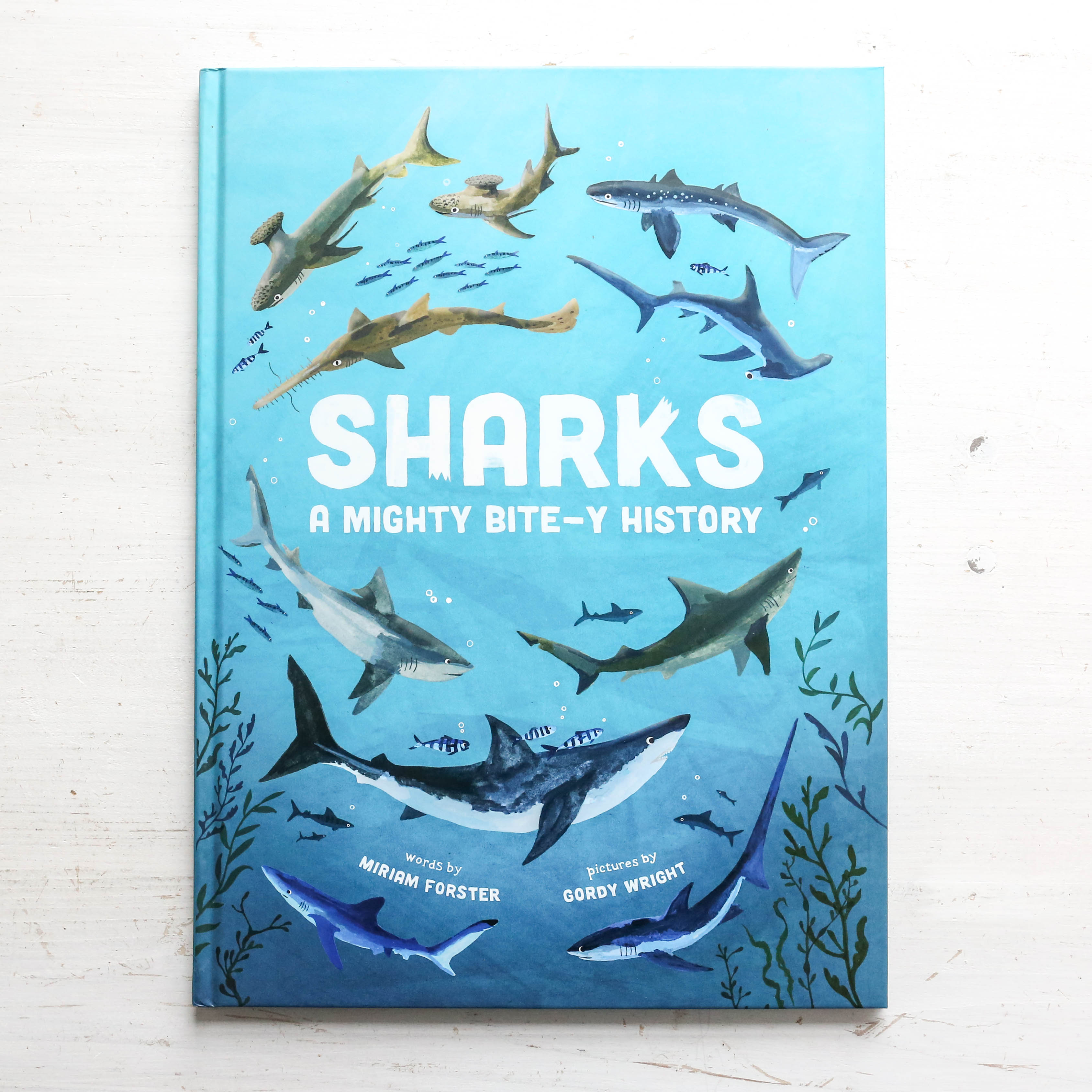 Sharks: A Mighty Bite-y History – Berylune