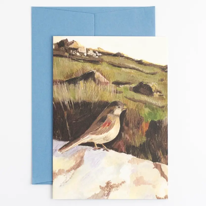 Cornish Bird Card – Berylune