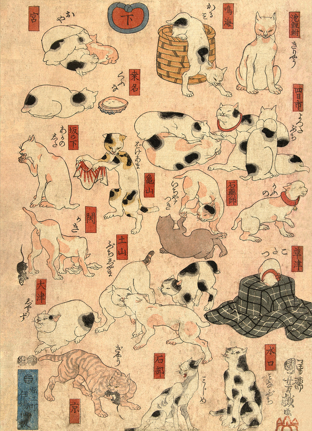 Japanese Station Cats Print - 30 x 40cm – Berylune