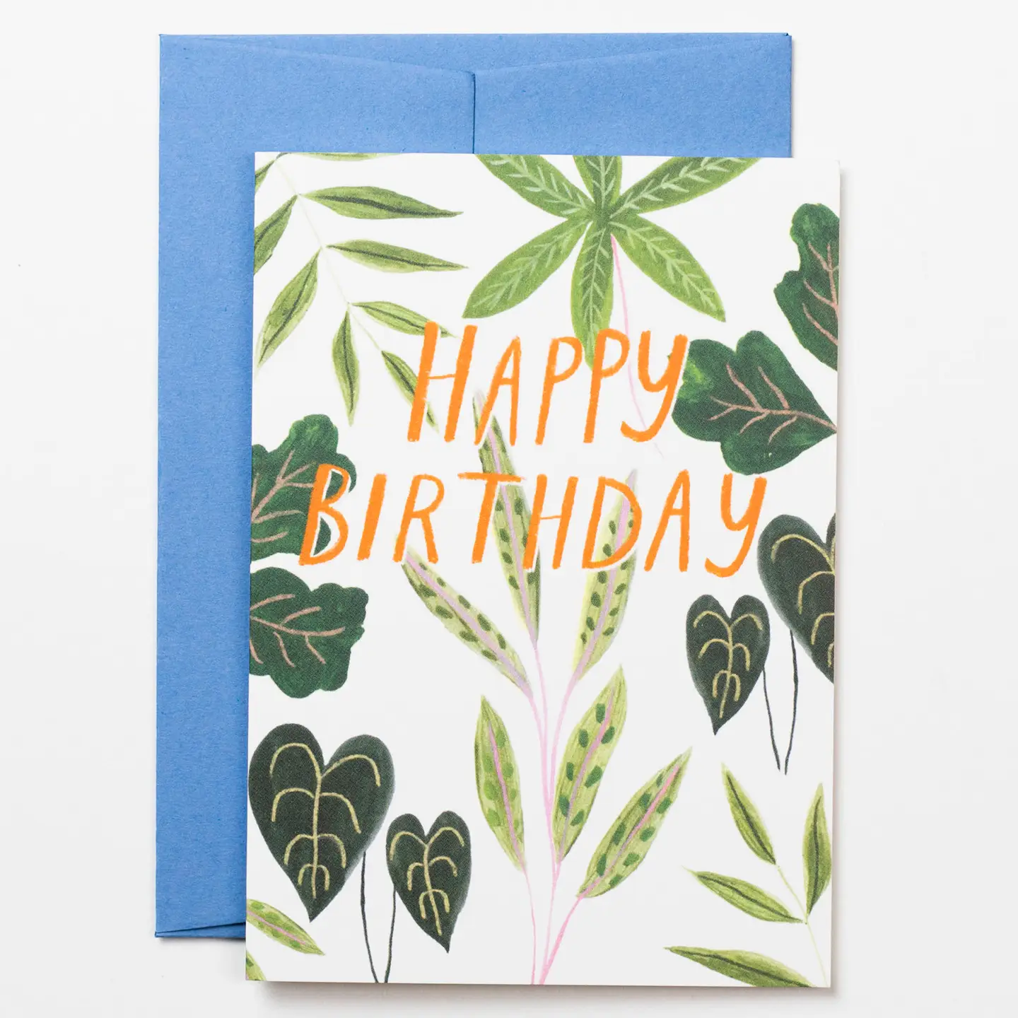 House Plant Birthday Card – Berylune