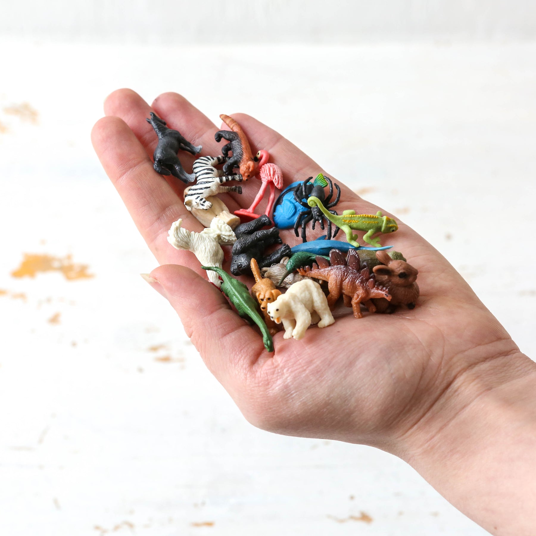 Assorted Small Rubber Animal – Berylune