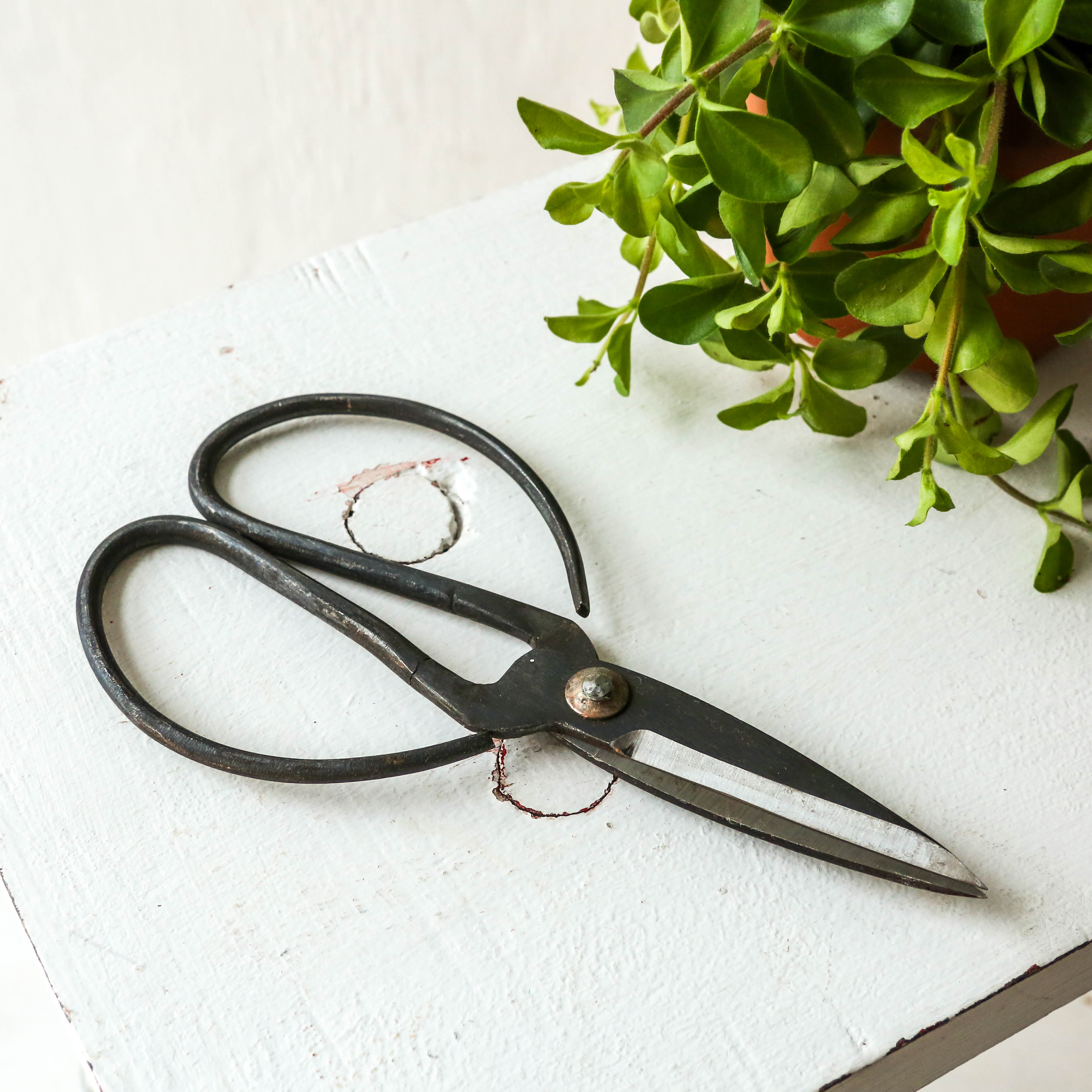 Traditional Black Iron Scissors – Berylune